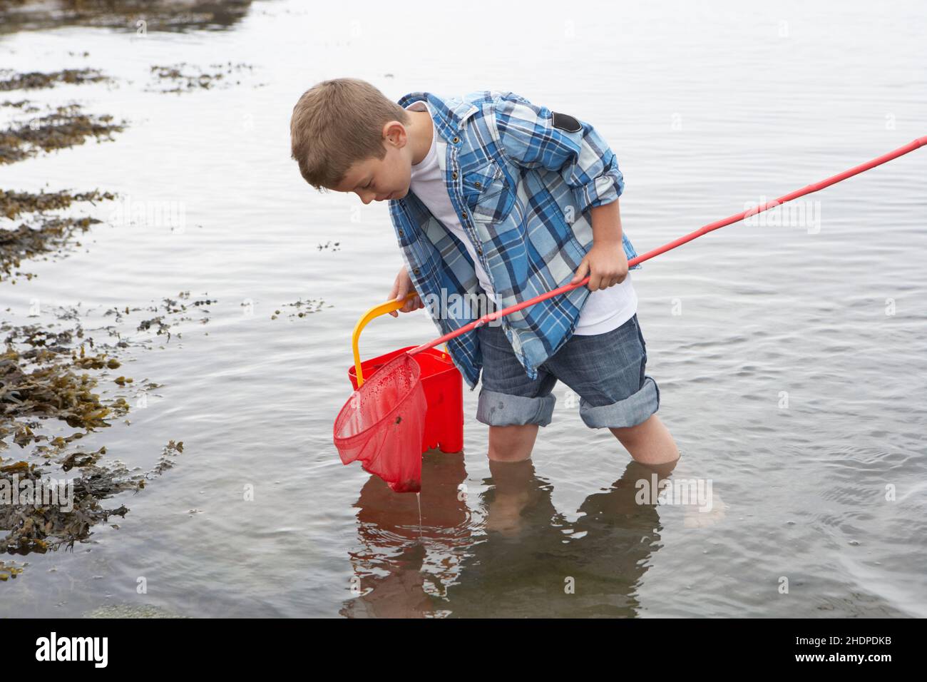 Child's bucket and net hi-res stock photography and images - Alamy