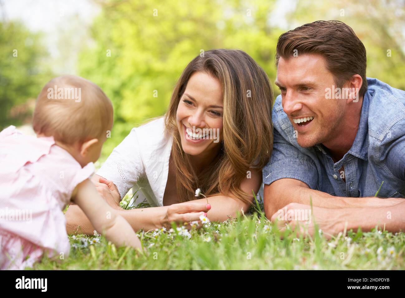 family, crawling, family lucky, families Stock Photo - Alamy
