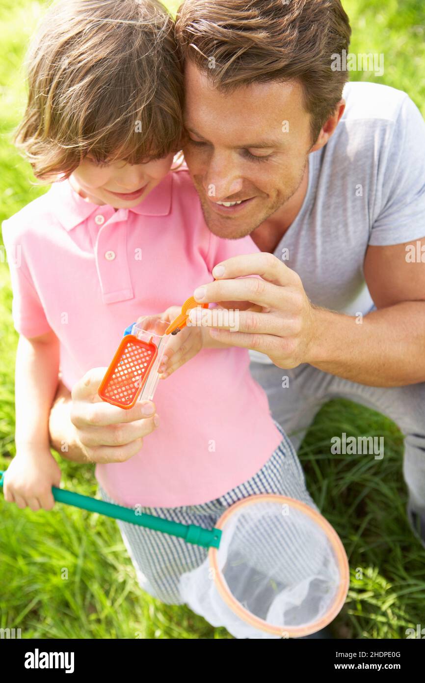 father, insect, son, catching, dad, fathers, insects, sons Stock Photo ...