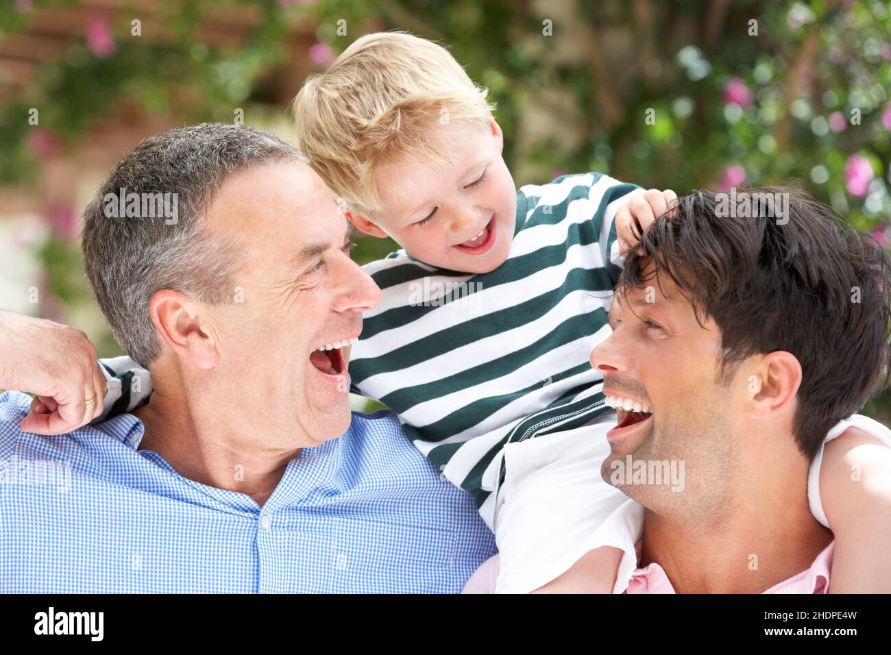 grandfather, father, son, generation, grandfathers, dad, fathers, sons ...