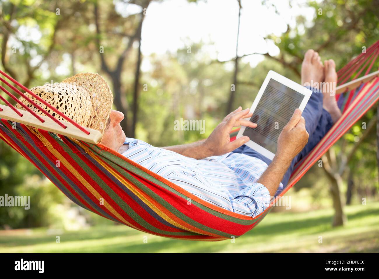 man, senior, reading, electronic book, guy, men, elderly, old, seniors ...