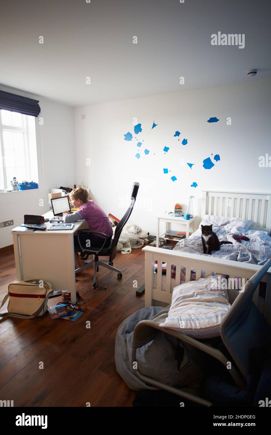 boy, learning, homework, boys, homeworks Stock Photo - Alamy