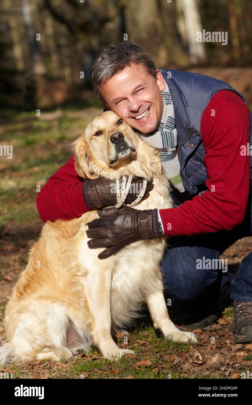 man, dog, golden retriever, animal loving, guy, men, dogs, golden ...