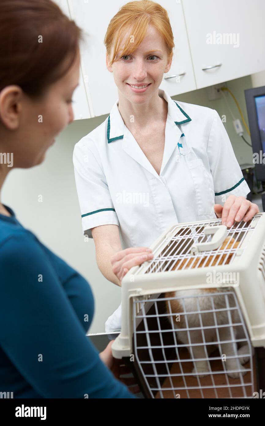 veterinarian, veterinary practice, veterinarians, veterinary practices ...