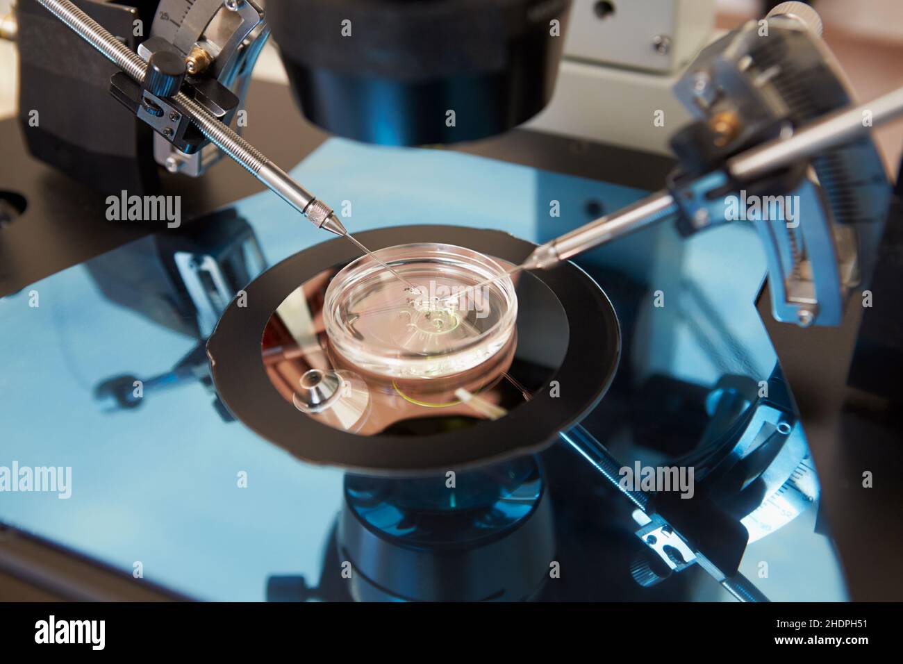 research, laboratory, artificial insemination, researchs, laboratories ...