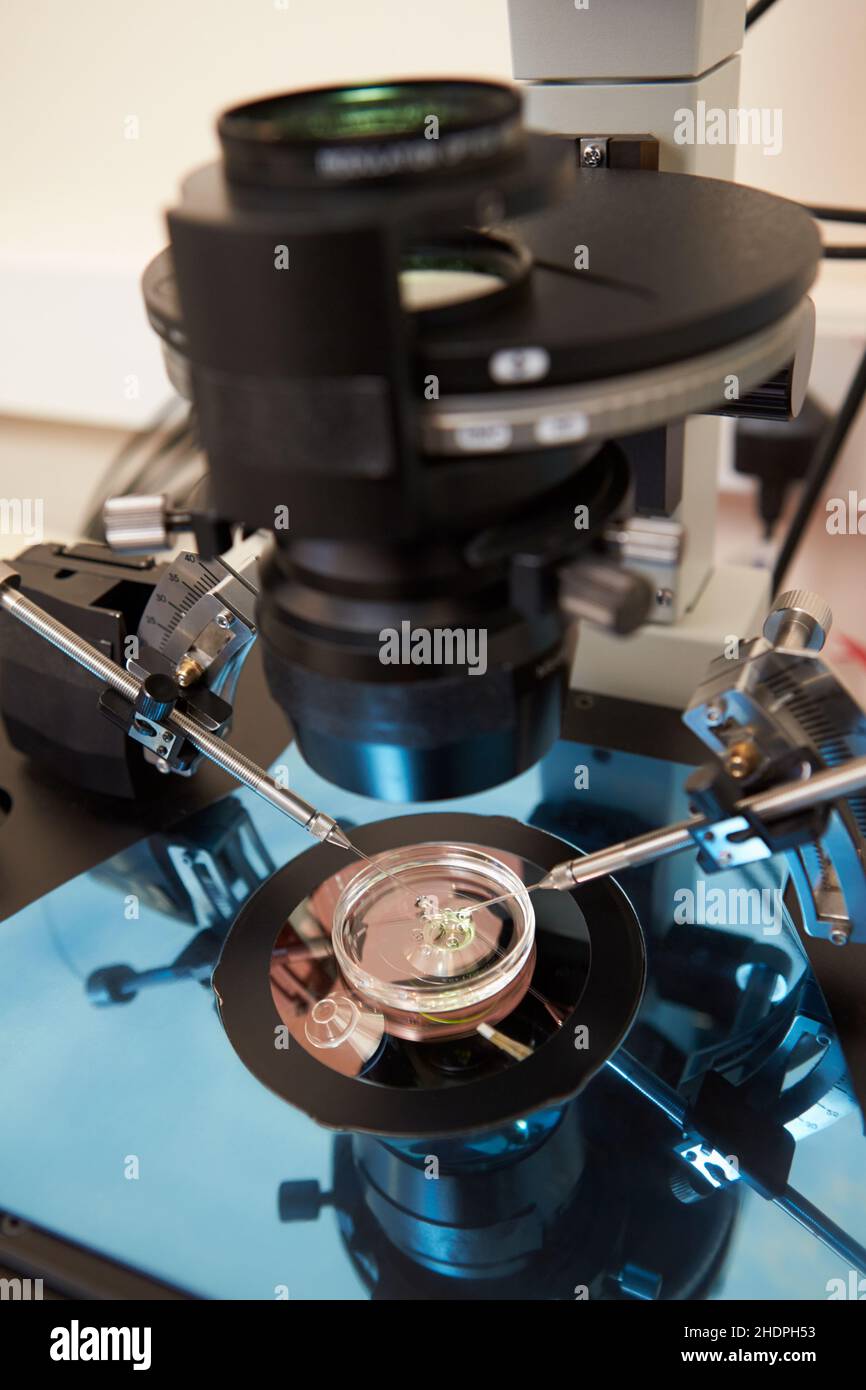 research, laboratory, artificial insemination, researchs, laboratories ...