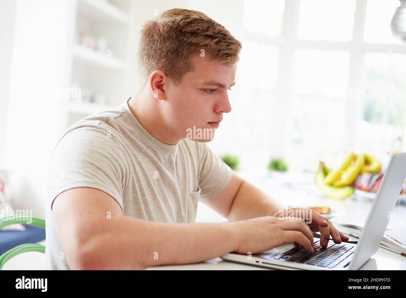 typing, laptop, college student, stenographer, computer, computers ...