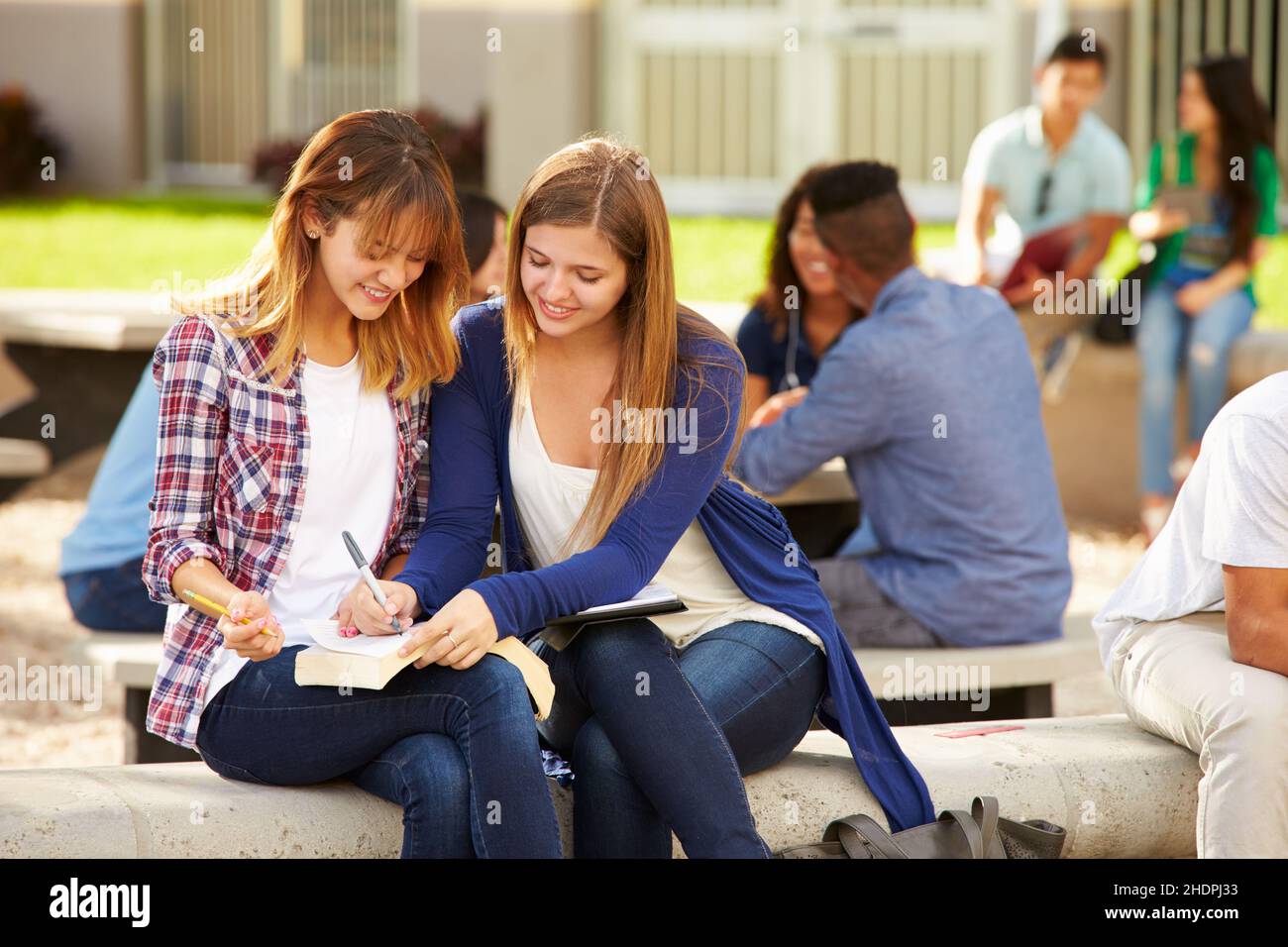 campus, students, fellow student, student, fellow students Stock Photo ...