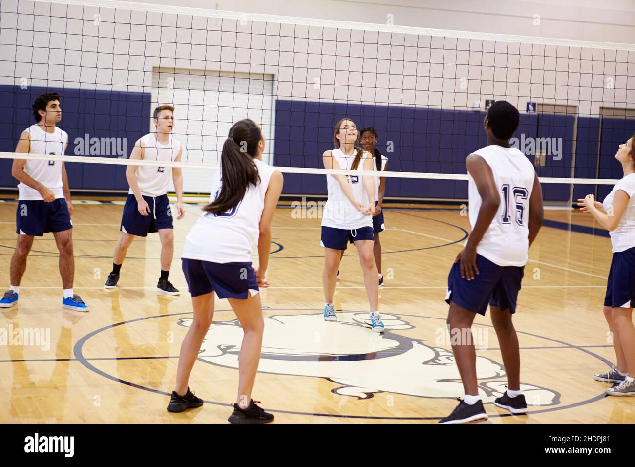 school sport, volleyball players, schools, athletes, volleyball player ...