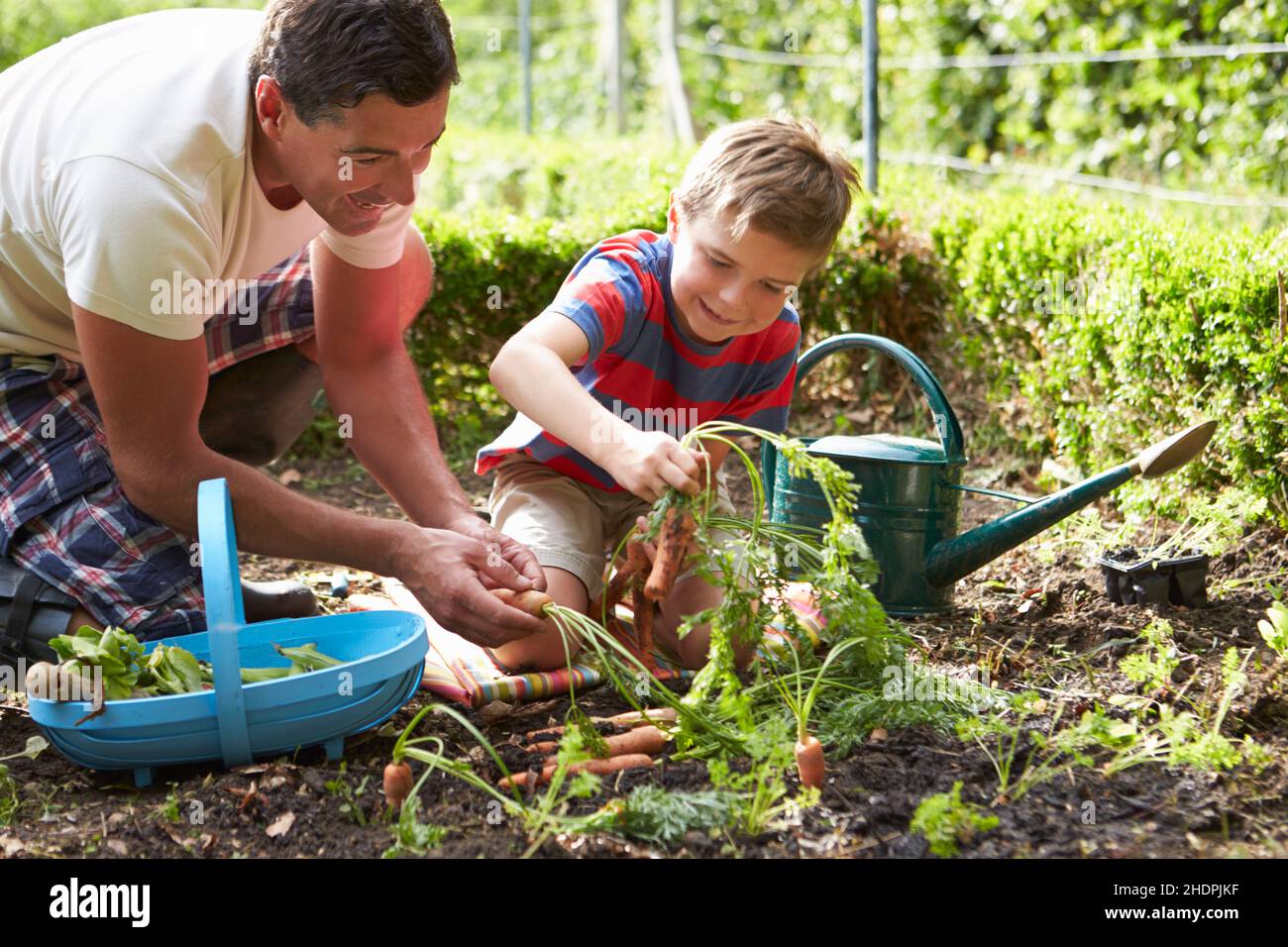 father, gardening, son, dad, fathers, plant care, tending of plants ...