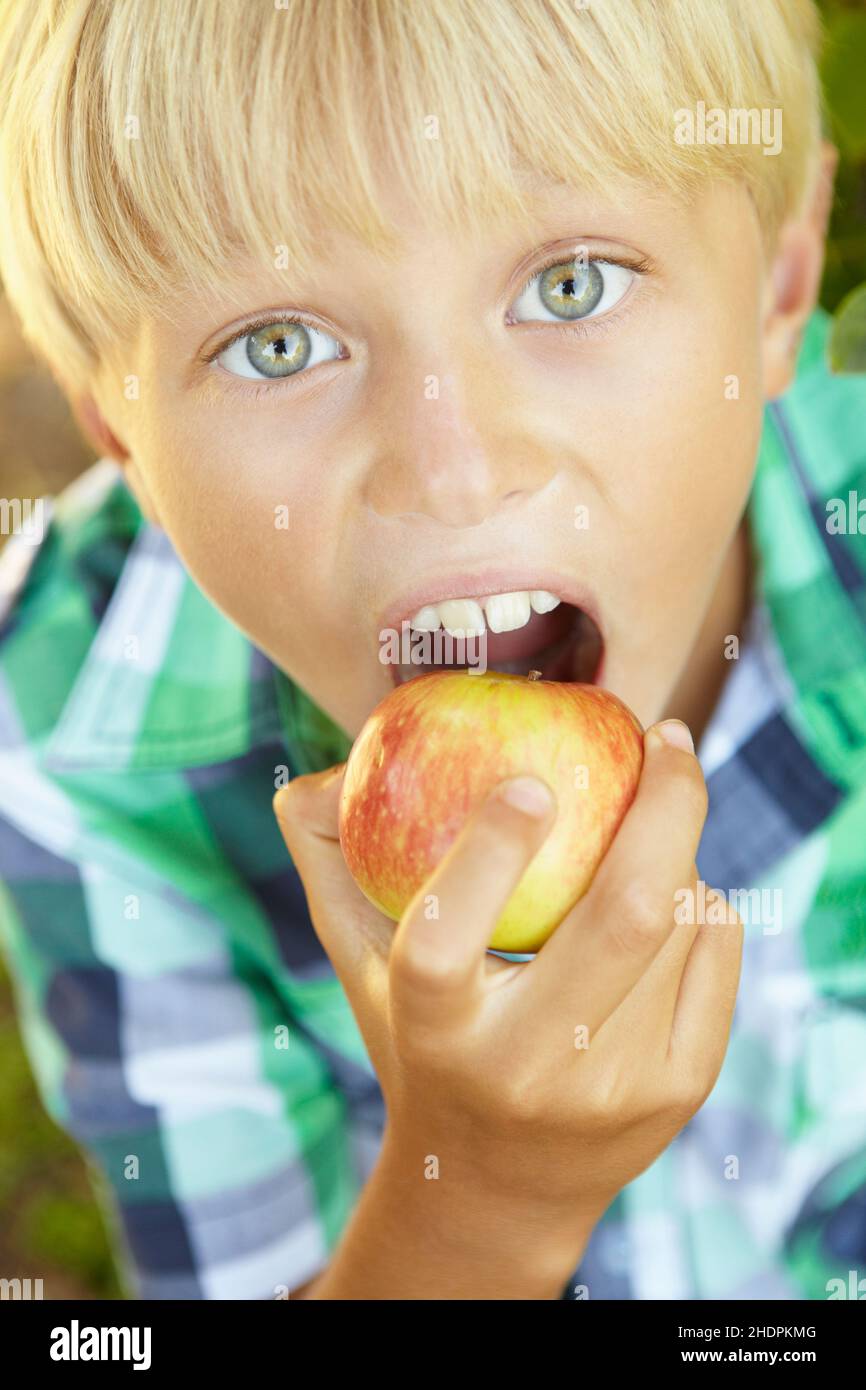 boy, healthy diet, apple, boys, healthy, healthy food, low fat, apples ...