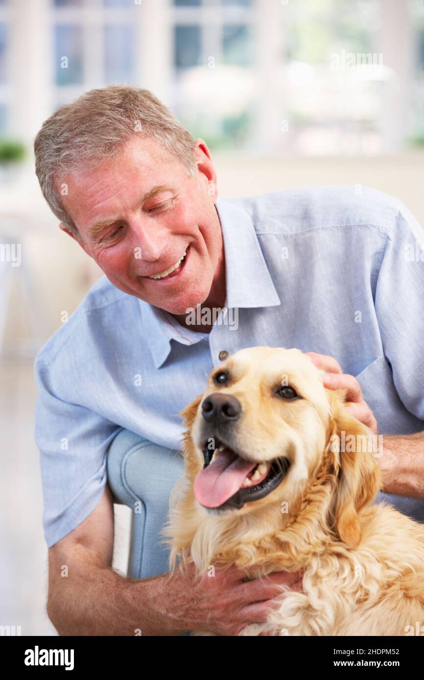 senior, animal love, golden retriever, elderly, old, seniors, animal ...