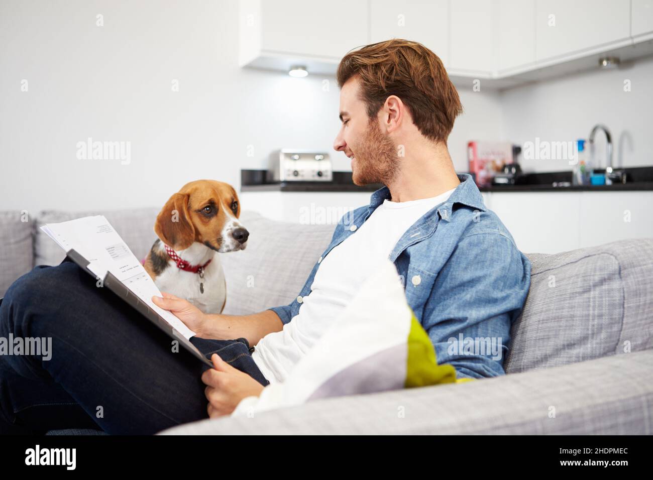 young man, domestic life, guy, man, men, young, at home, domestic lifes ...
