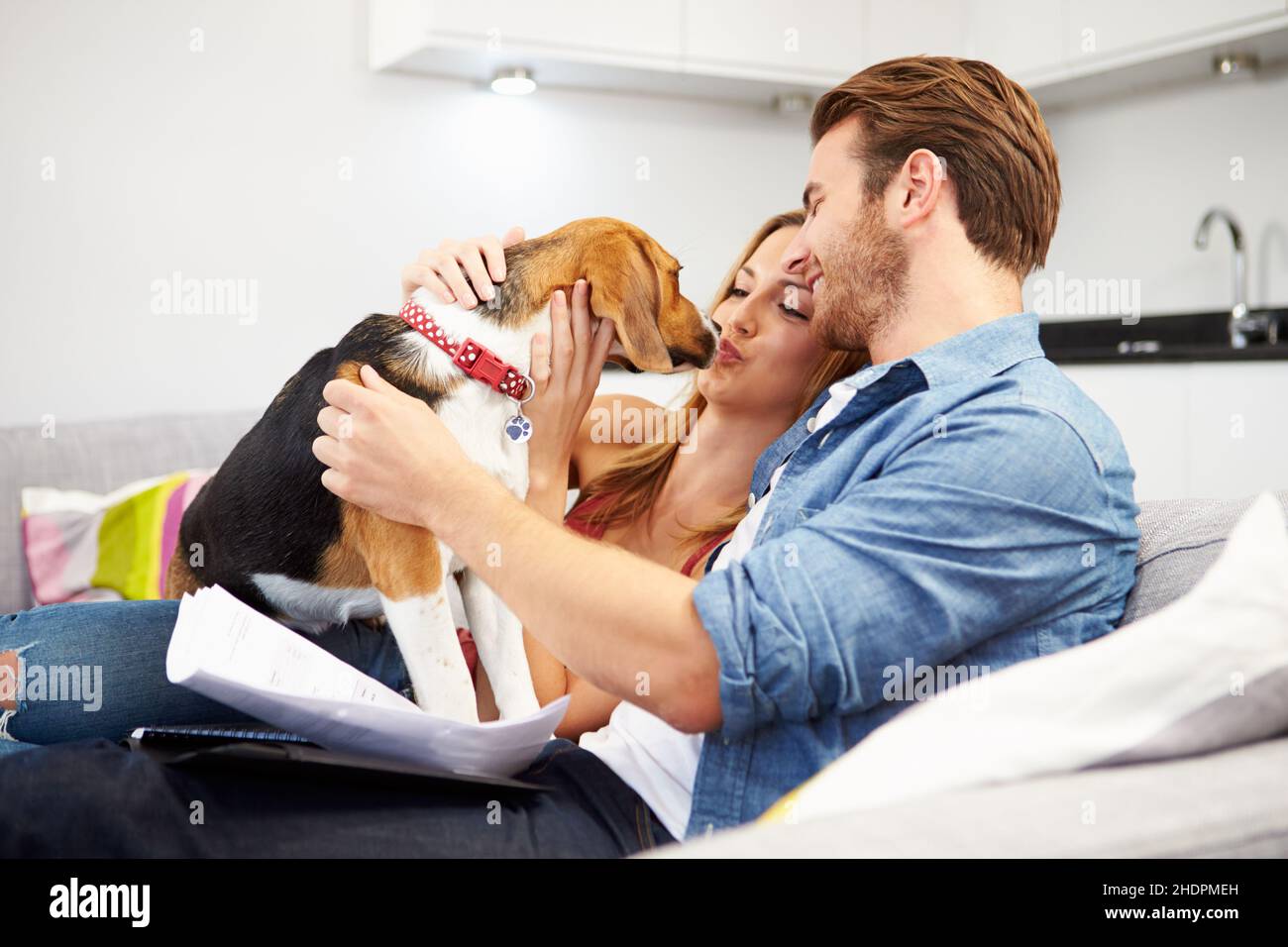Three persons and two dogs hi-res stock photography and images - Alamy