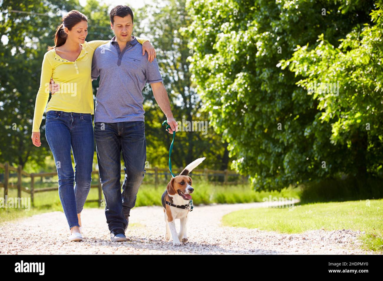 couple, walk, dog, walk the dog, pairs, walks, dogs, walk the dogs ...