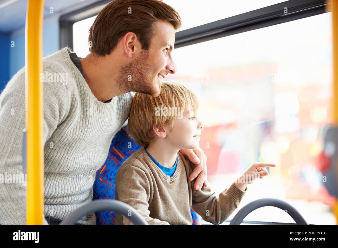 passenger, public transport, bus, passengers, public transports, buses ...