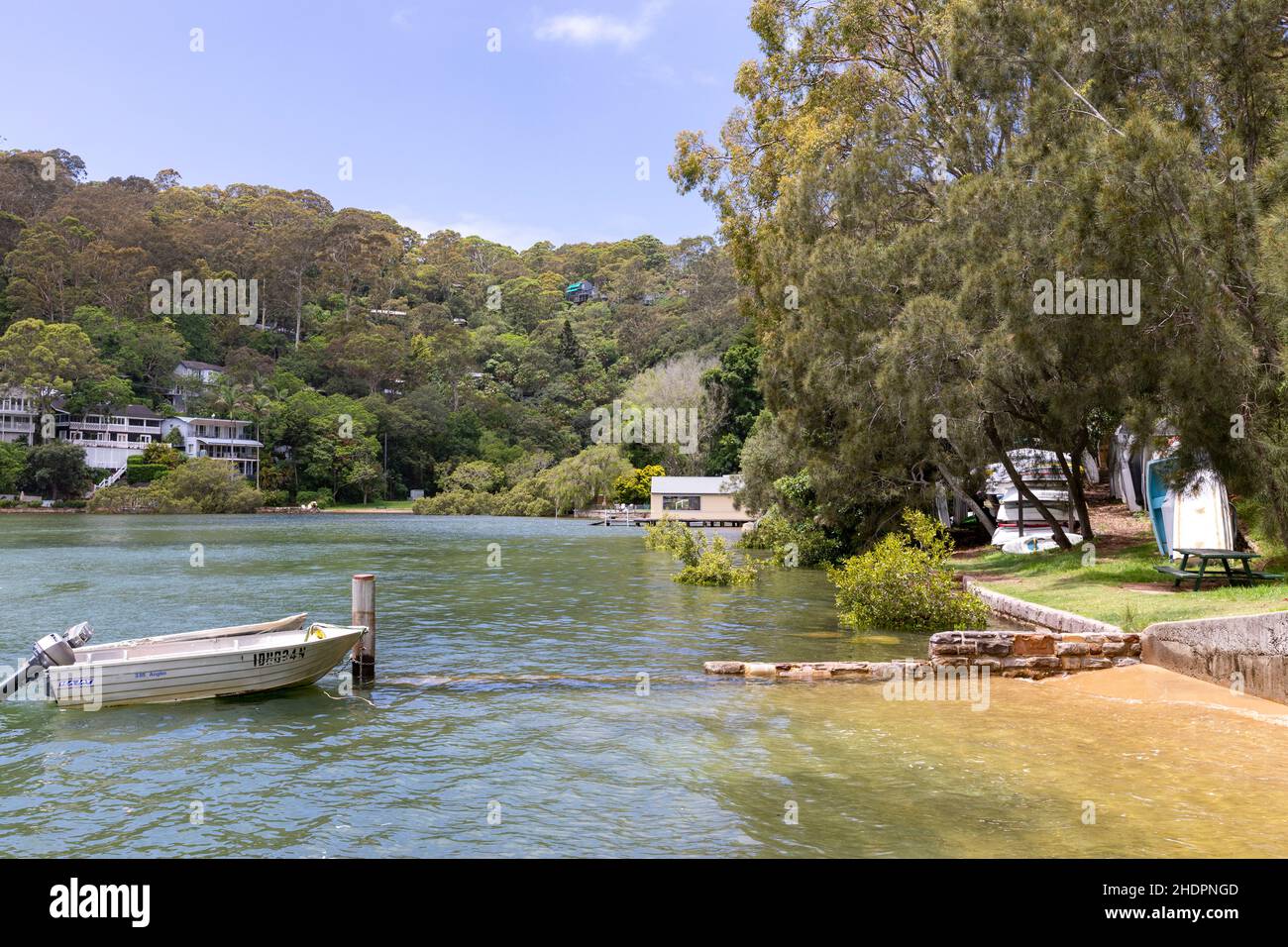Salt Pan Cove and mangroves in the water, Pittwater,Sydney,Australia ...