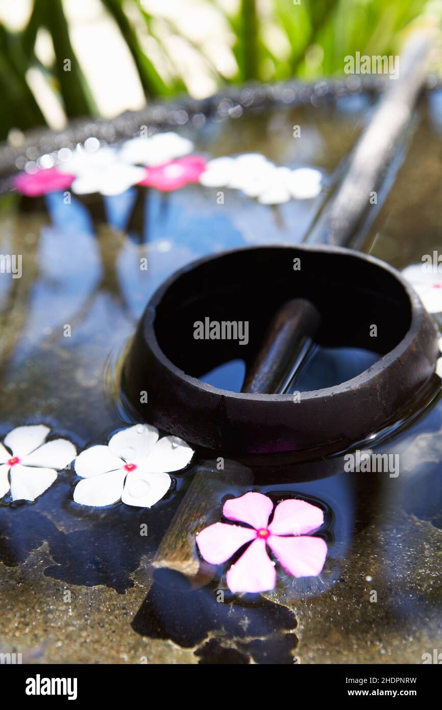 wellness & relax, water, ladle, spa treatment, wellness, wellness ...