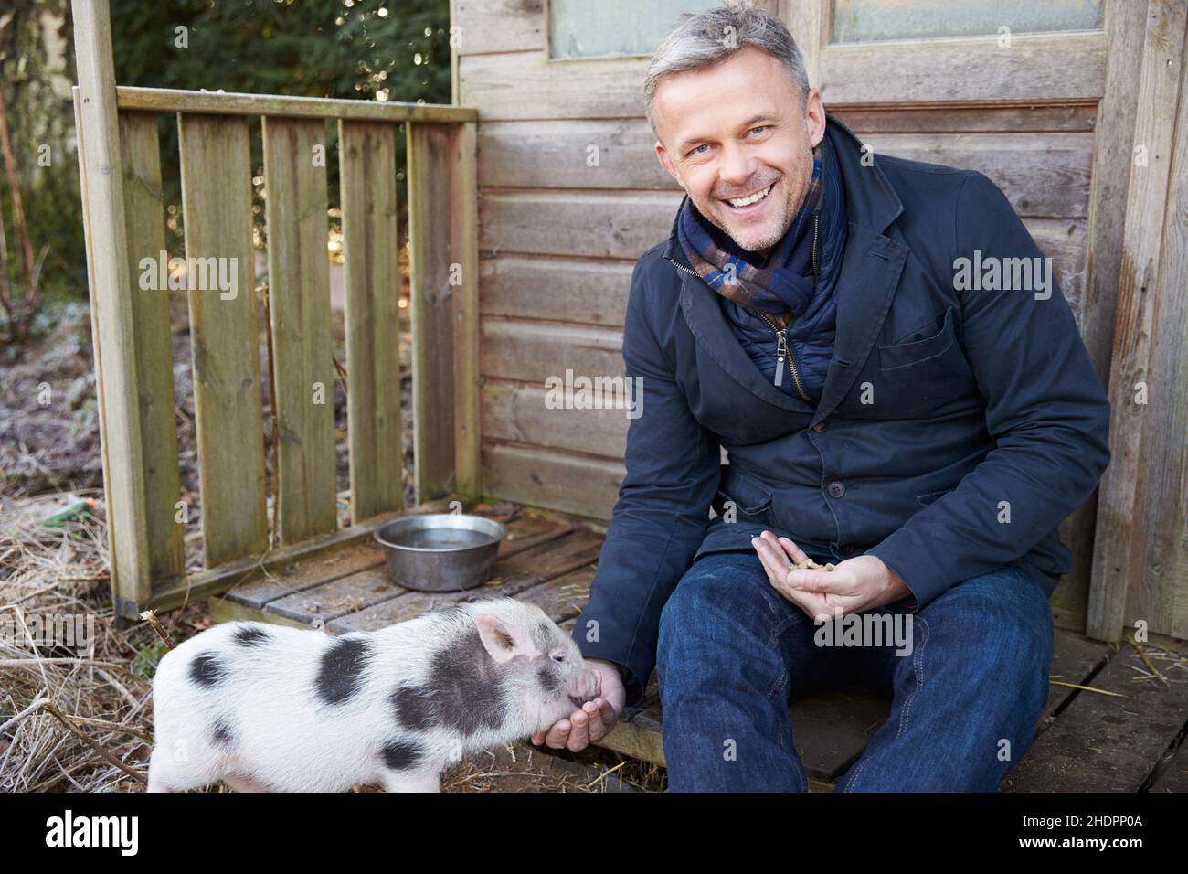 Homestead pigs hi-res stock photography and images - Alamy