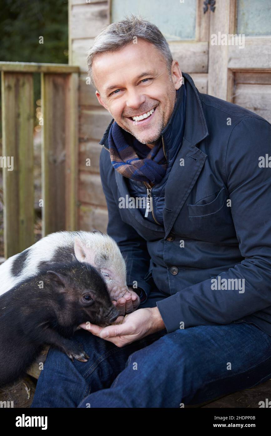 farm, farmer, piglet, pig, farms, homestead, farmers, piglets, pigs ...