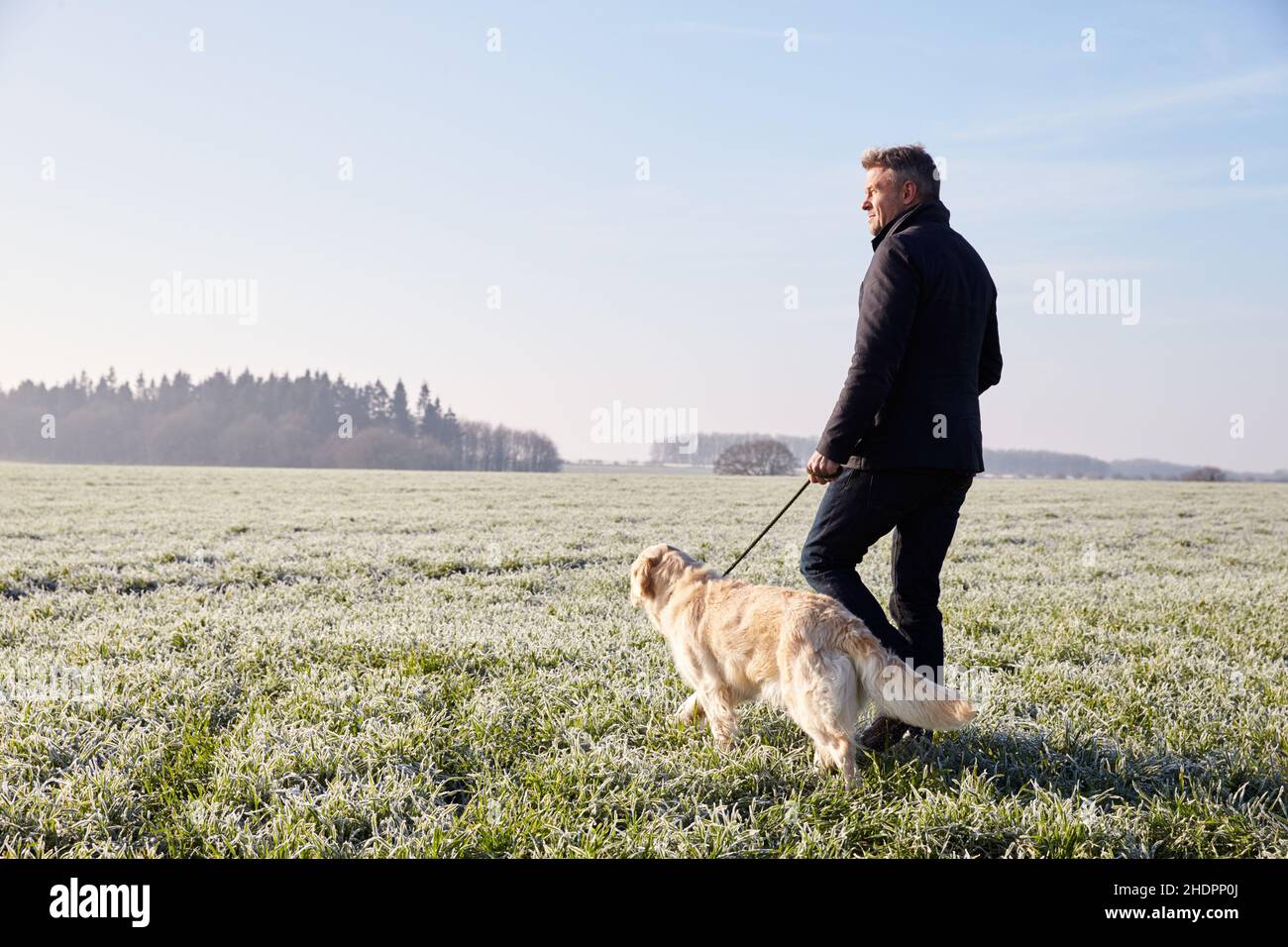 man, dog, stroll, walk the dog, guy, men, dogs, strolls, walk the dogs ...