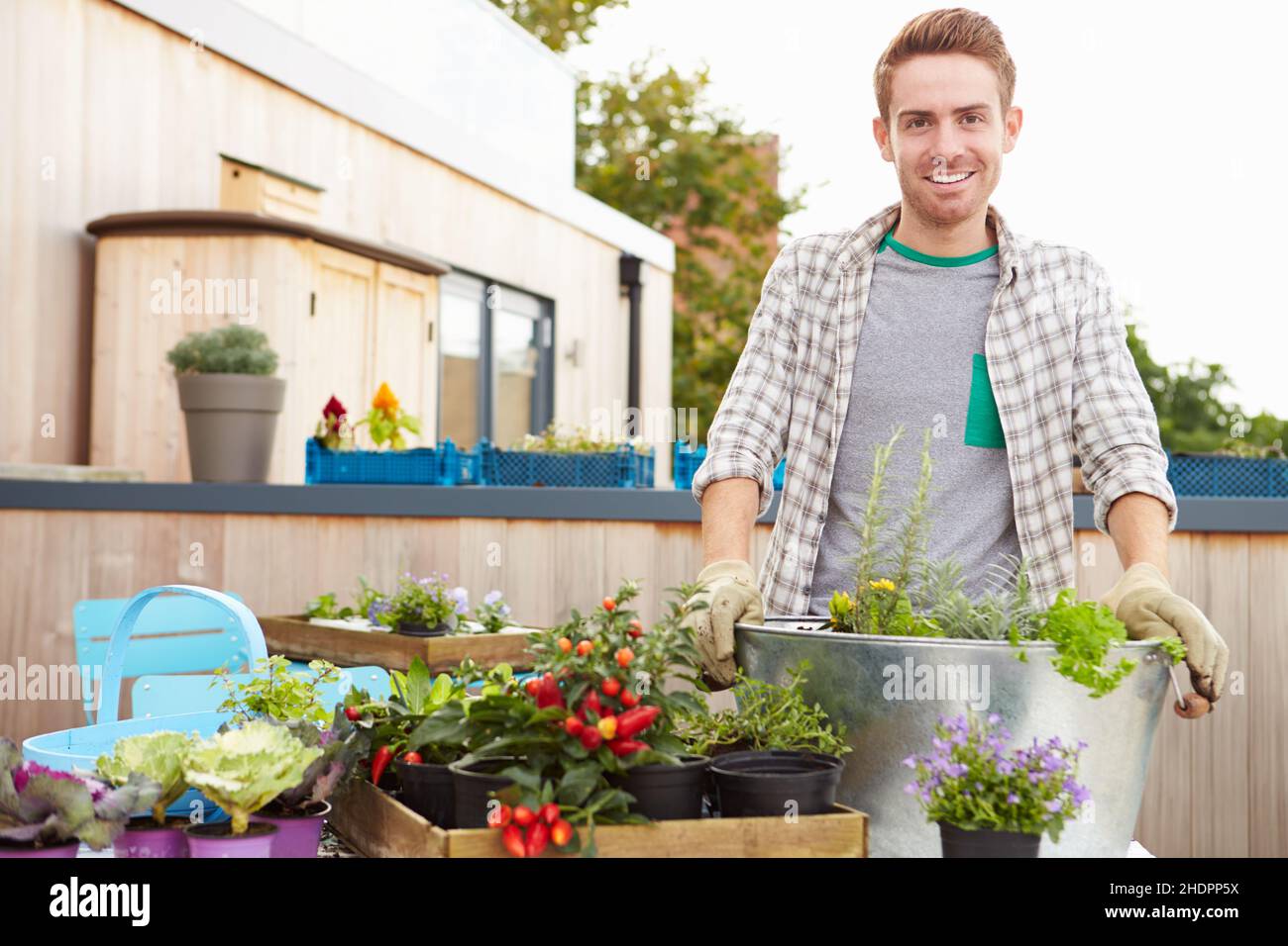 young man, gardening, guy, man, men, young, plant care, tending of ...