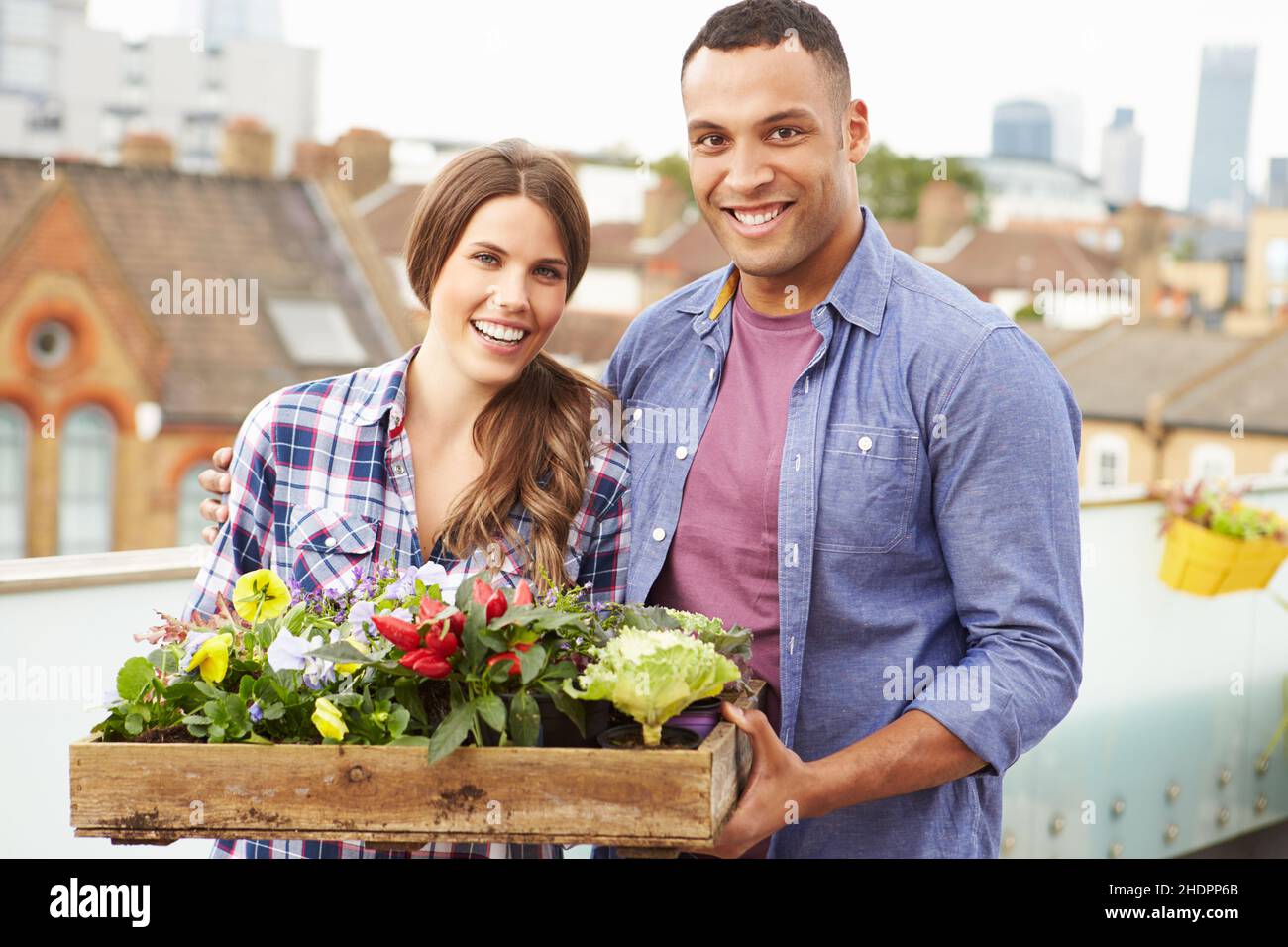 domestic life, at home, domestic lifes, living Stock Photo - Alamy