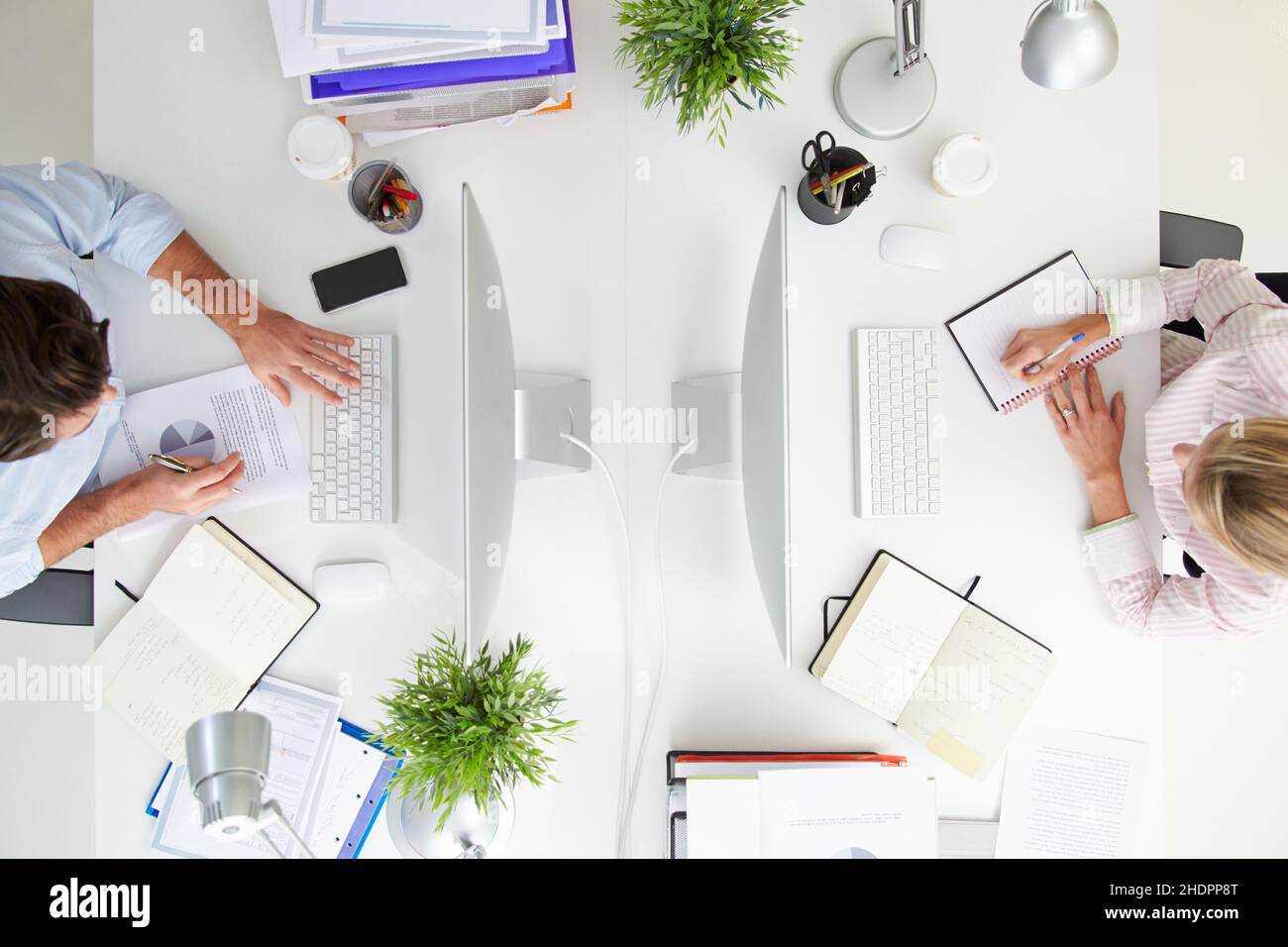 office & workplace, colleagues, desktop icon, office, office ...