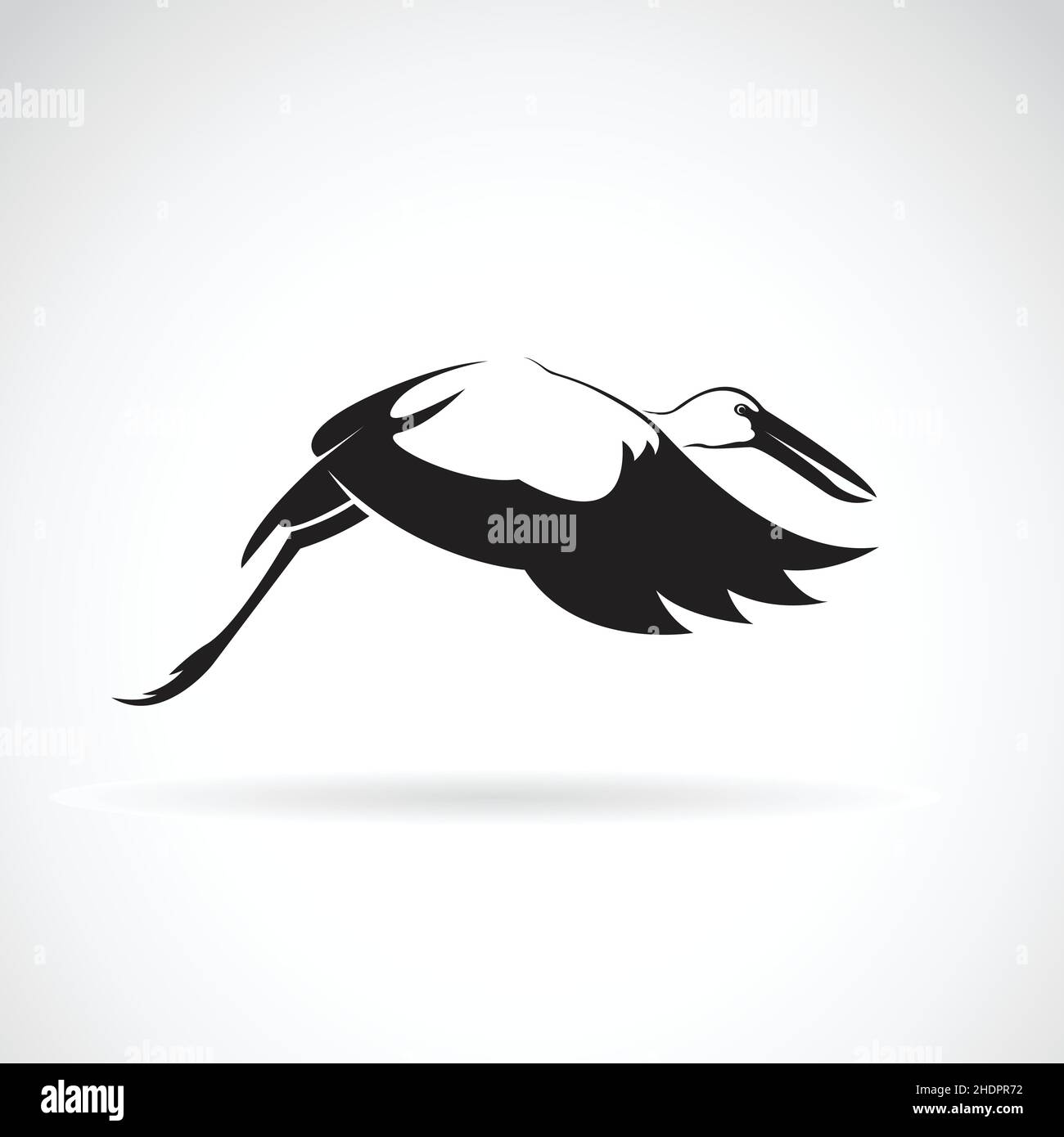 Vector of stork flying on white background. Asian openbill stork ...