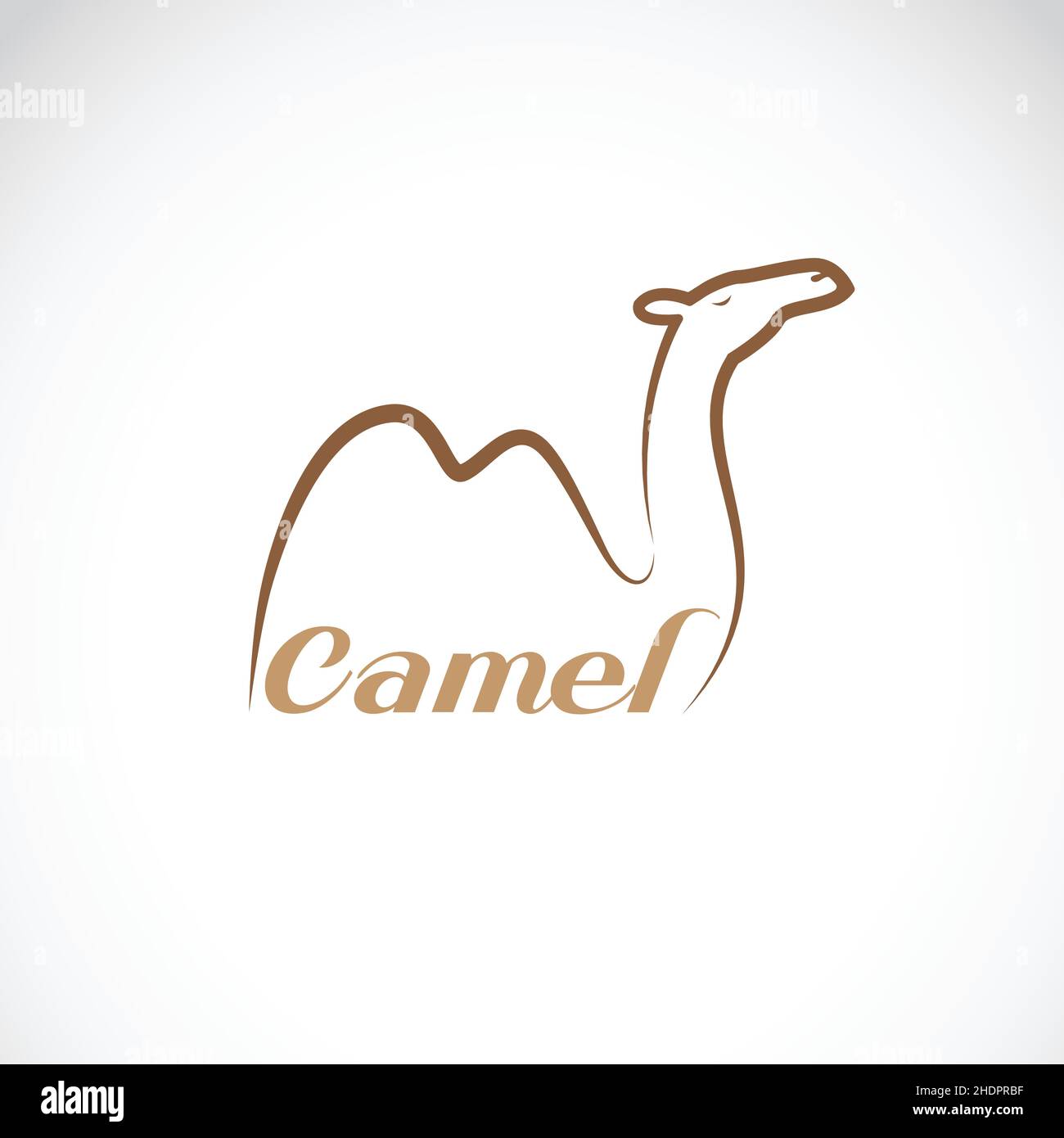 Vector of camel design on white background. Easy editable layered ...