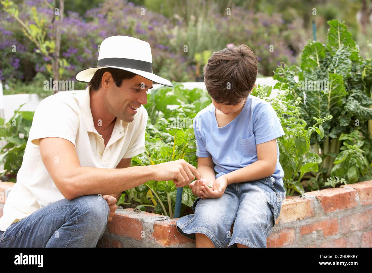 father, garden, explaining, son, dad, fathers, gardens, sons Stock ...