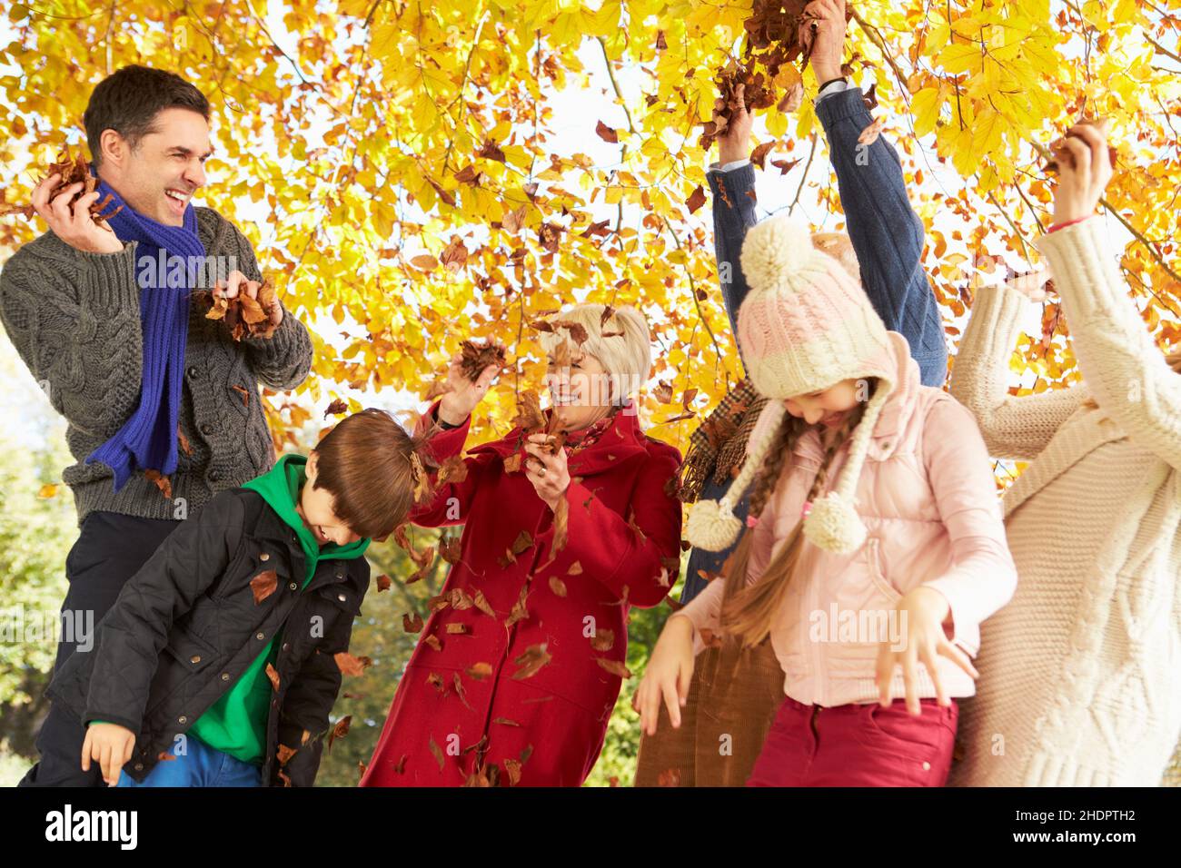 6 with 3 leaves hi-res stock photography and images - Alamy