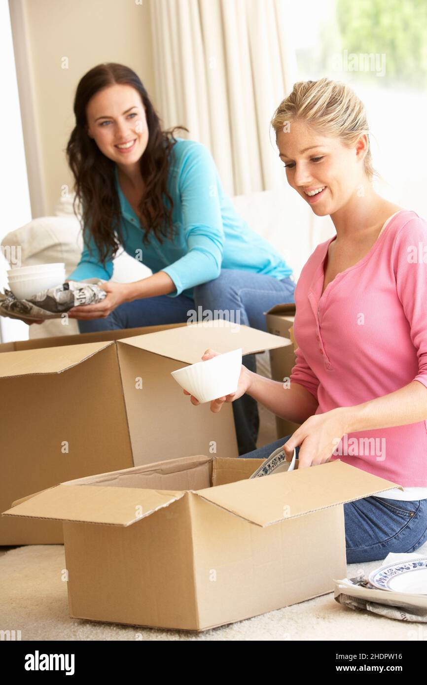 friends, unpacking, relocation, moving box, friend, moving, relocations ...