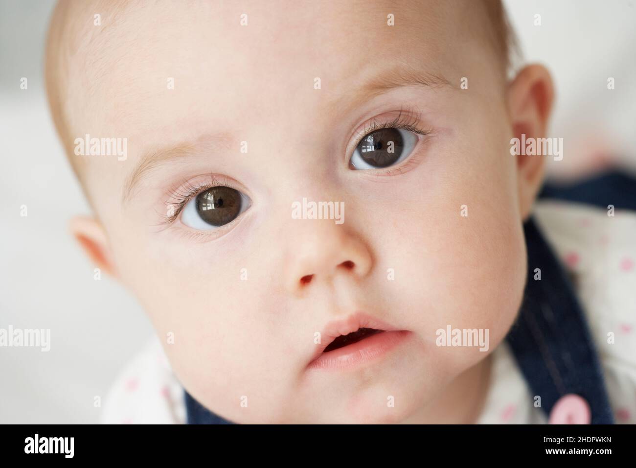 portrait, baby, portraits, babe, babies, human babies Stock Photo - Alamy