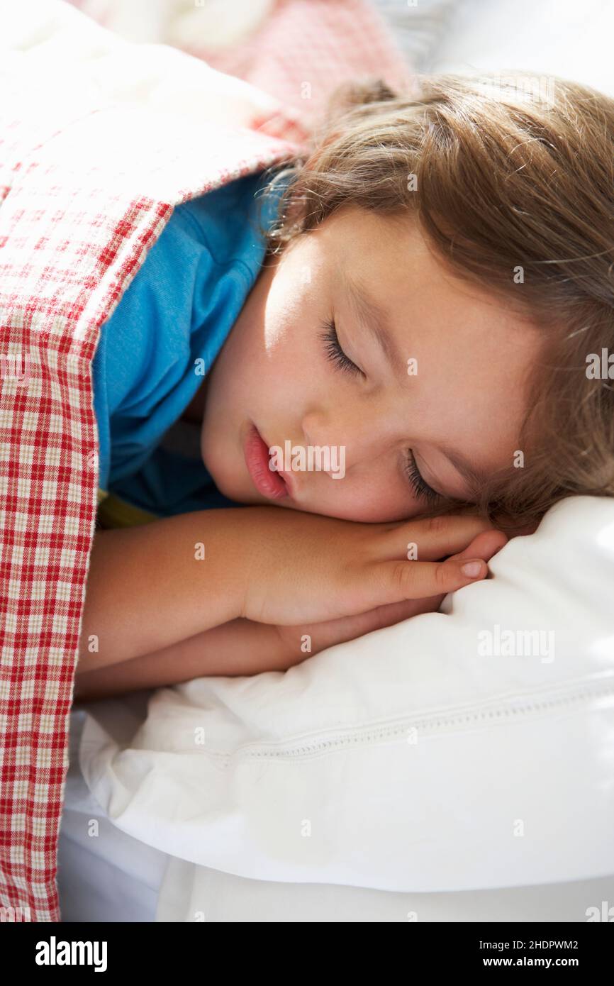 boy, tired, sleeping, boys, tireds, sleep, to be asleep, to sleep Stock ...