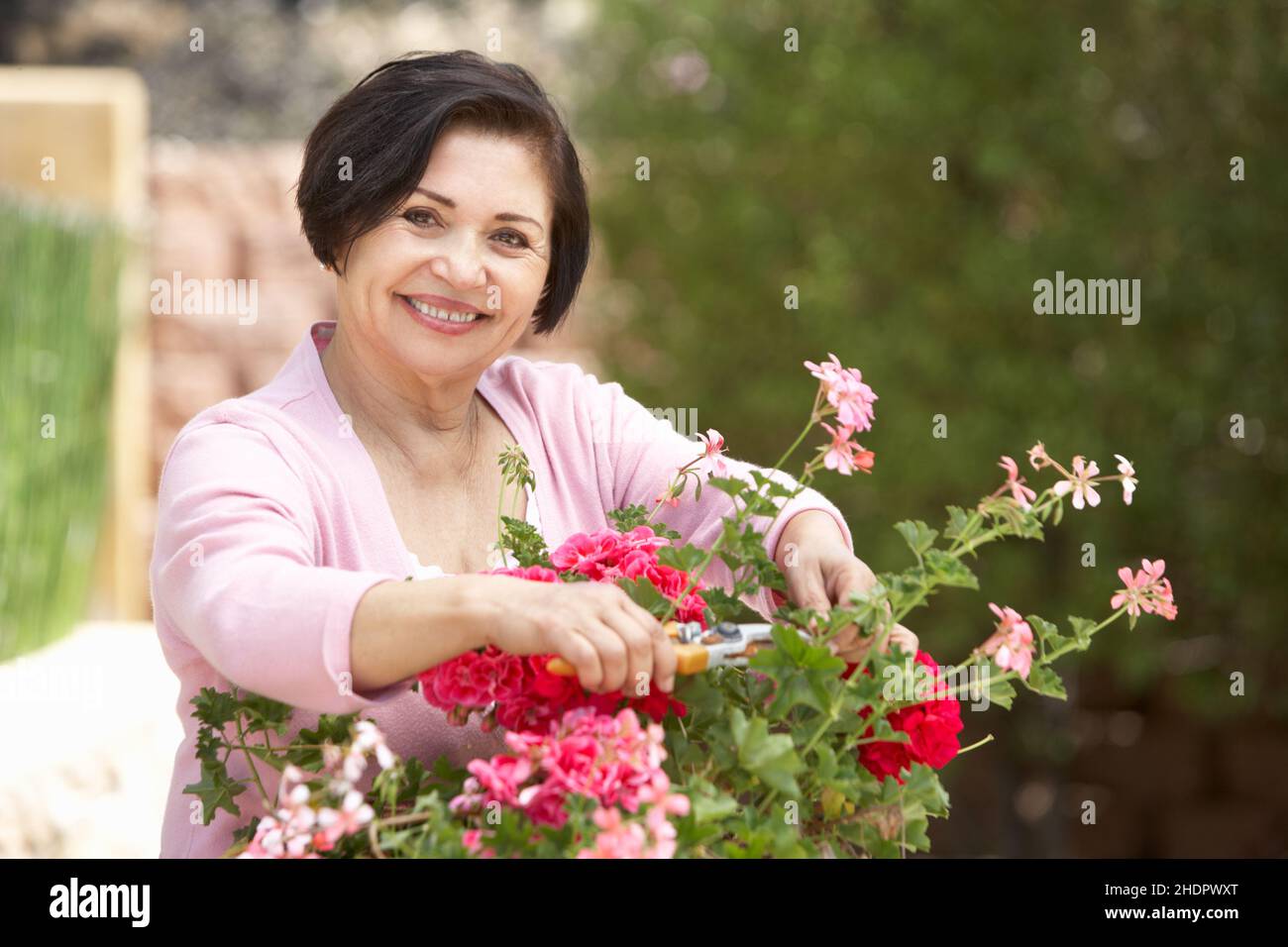 woman, hobbies, florist, female, ladies, lady, women, hobby, florists ...