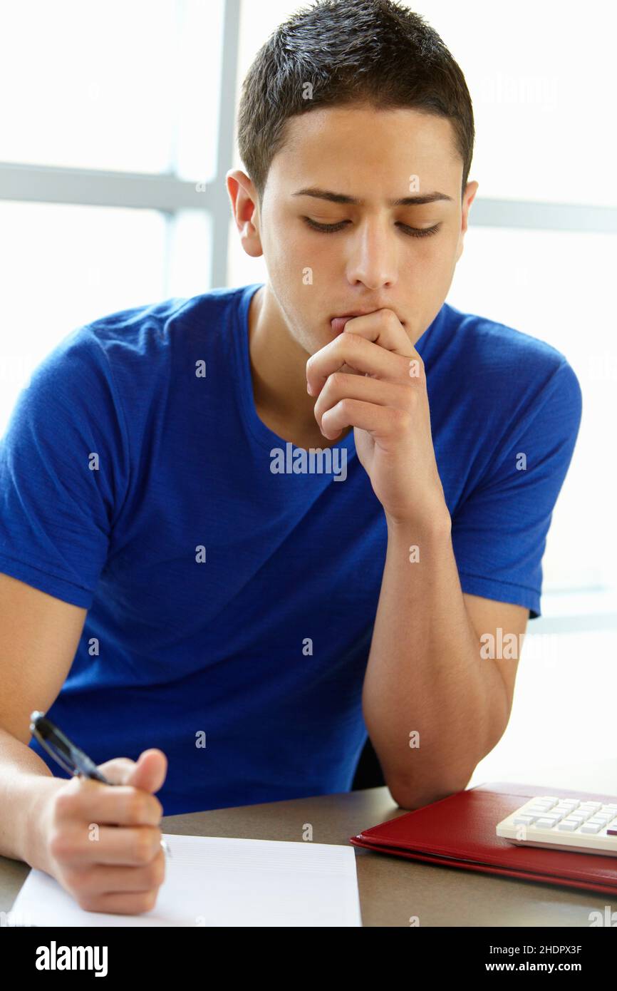 learning, pupils, college student, school childrens, college students ...