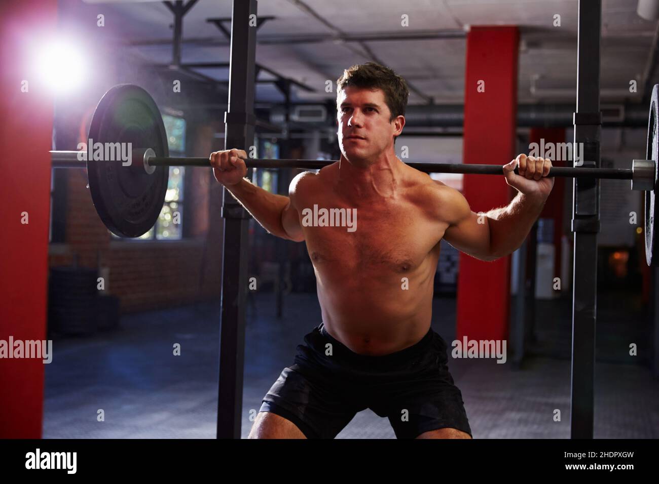 muscle sports, barbell, weightlifter, muscle sport, barbells ...