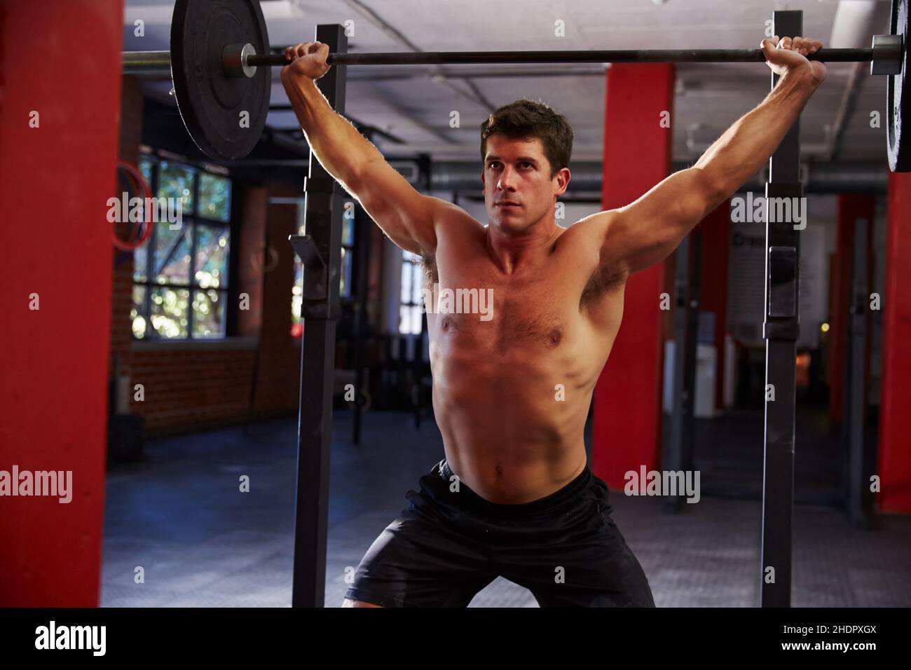 body building, barbell, weightlifter, bodybuilder, bodybuilding ...