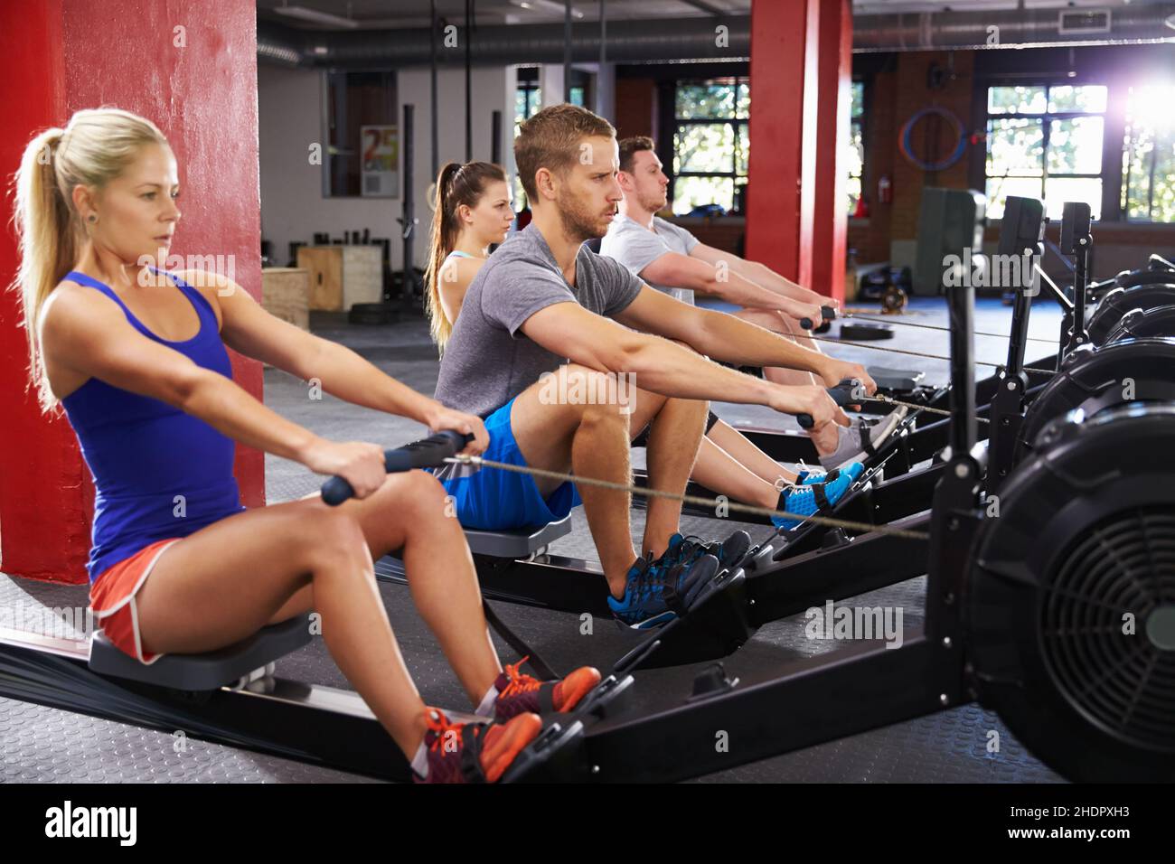fitness equipment, workout, health club, rowing machine, fitness ...