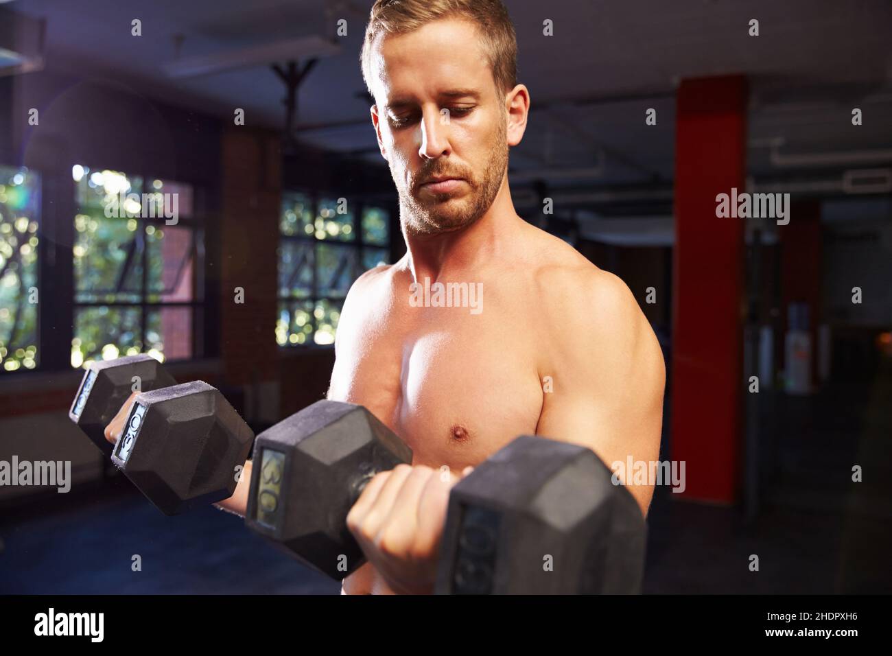 weightlifting, muscle, dumbbell training, muscles Stock Photo - Alamy