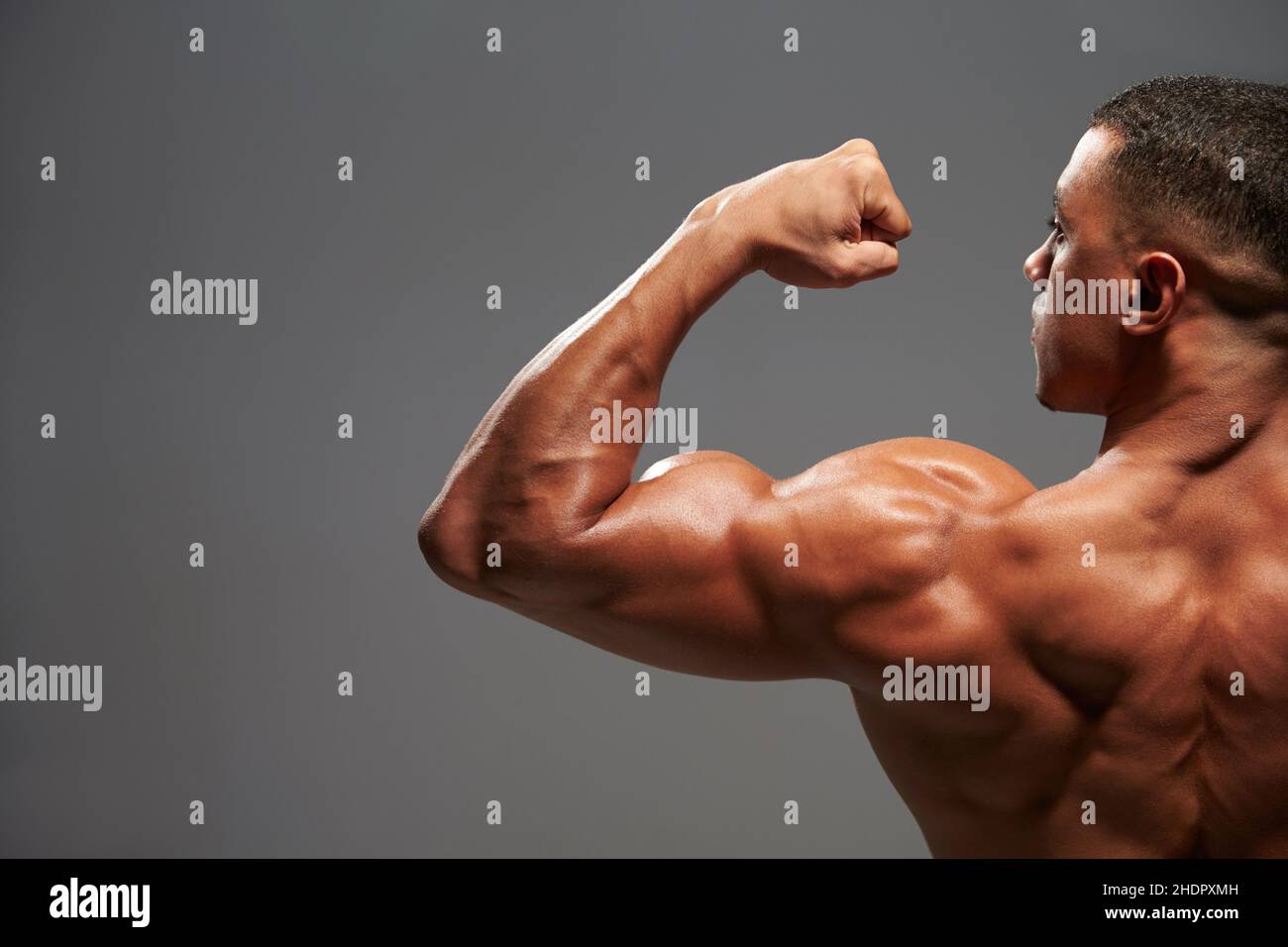 man, bicep, body building, triceps, guy, men, biceps, bodybuilder ...