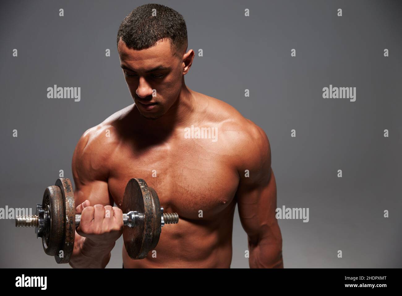 Muscle fit fitness bodybuilders hi-res stock photography and images - Alamy