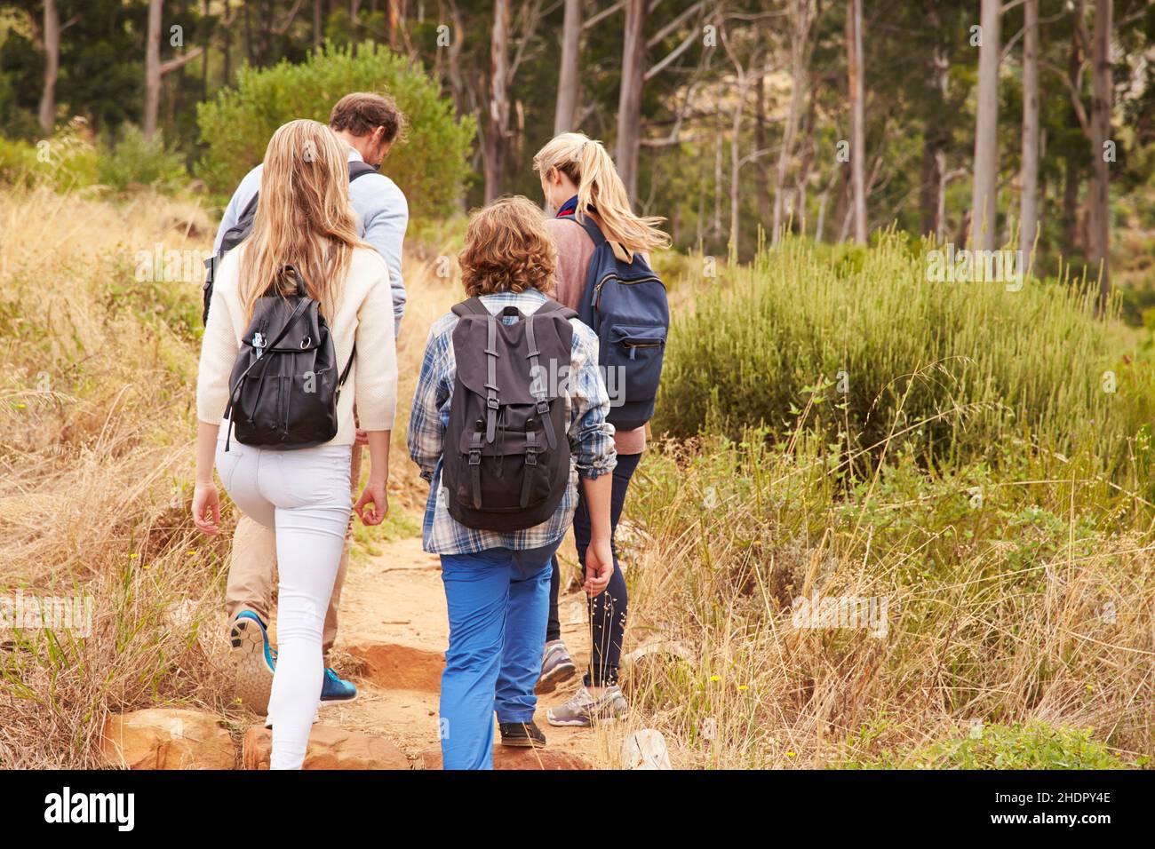 trail, hiking, excursion, family outing, trails, excursions, trip ...