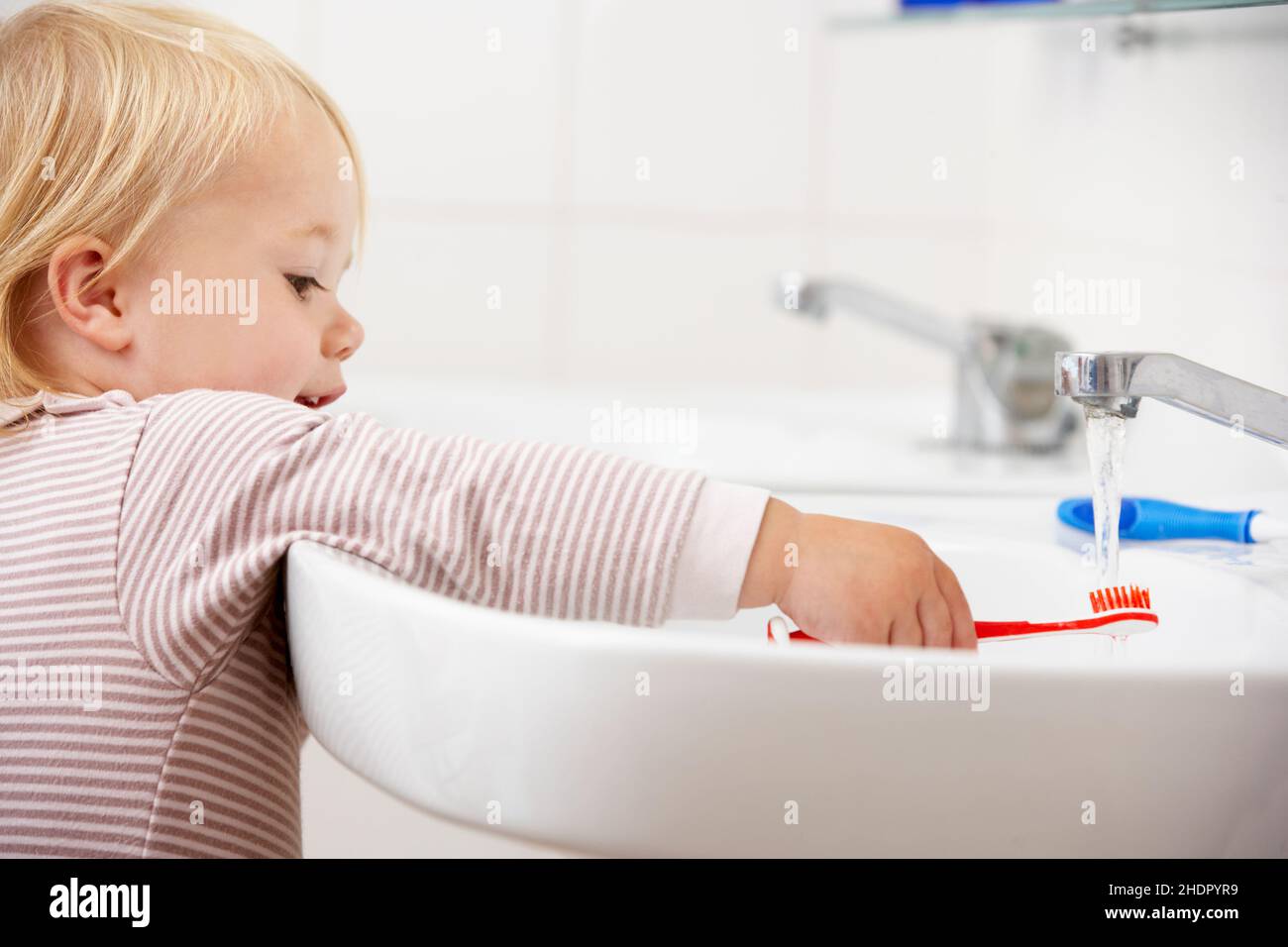 toddler, girl, dental hygiene, infant, infants, toddlers, girls, dental ...