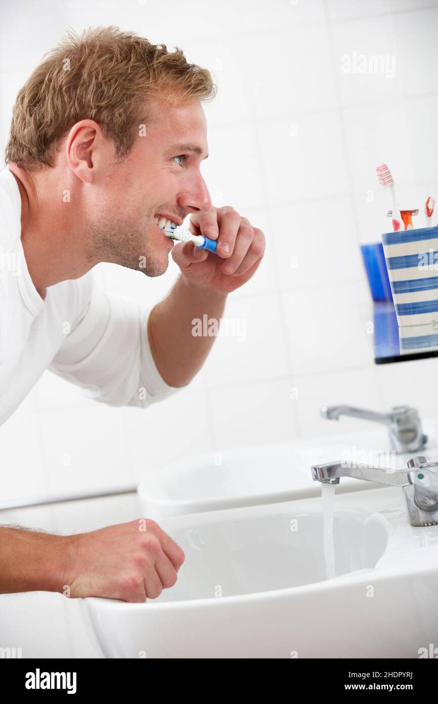 man, toothbrush, brushing teeth, guy, men, toothbrushs, brushing teeths ...