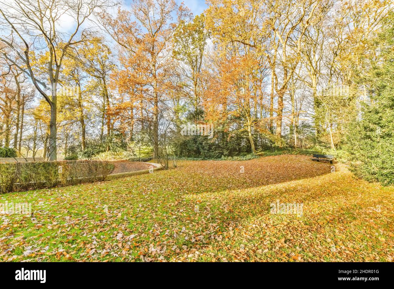 Comfortable park with many trees and greenery Stock Photo - Alamy