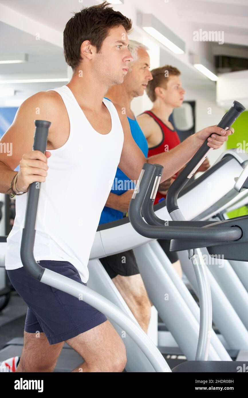 man, endurance, treadmill, muscle, guy, men, endurances, treadmills ...