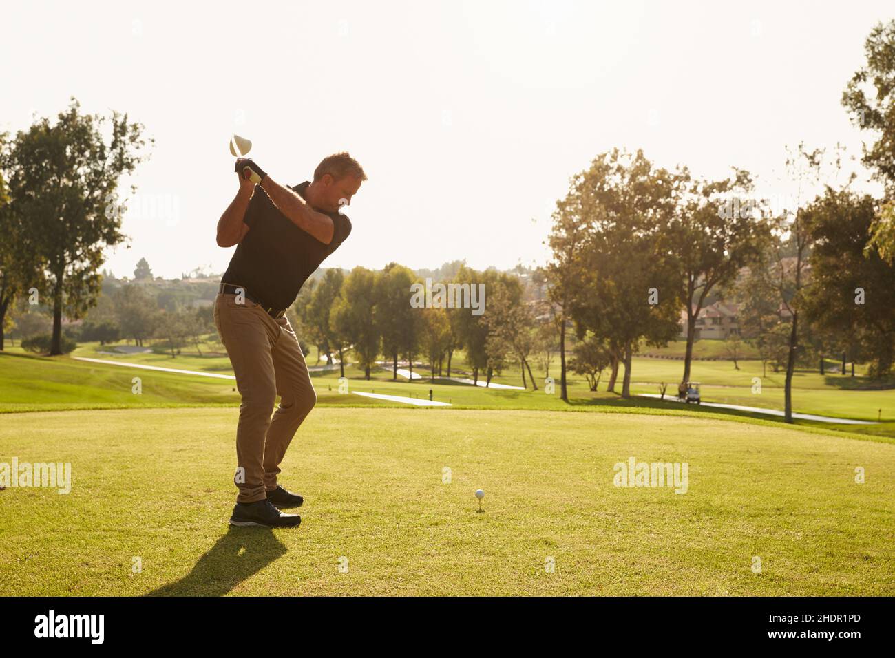 concentrate, teeing off, golfer, concentrates, teeing offs, golfers ...