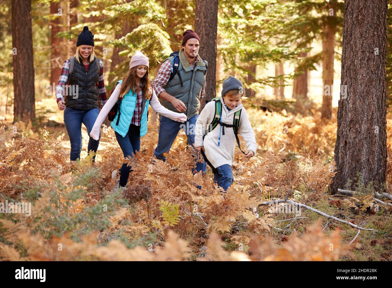 family, walk, families, walks Stock Photo - Alamy
